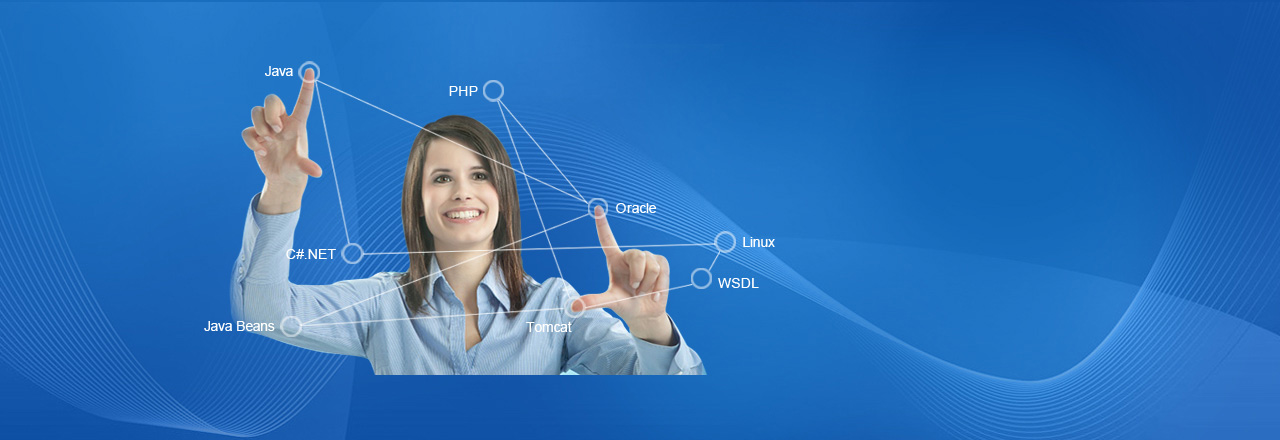 Enterprise Software Development Maintenance And Support Services